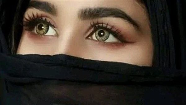 موقع أيام نيوز | pub522